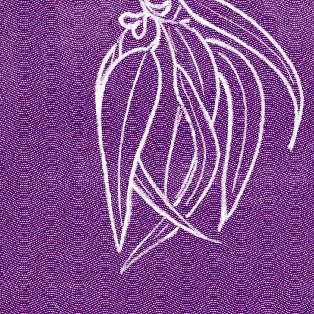 Learn to Play The Gumleaf - Do Something Australian